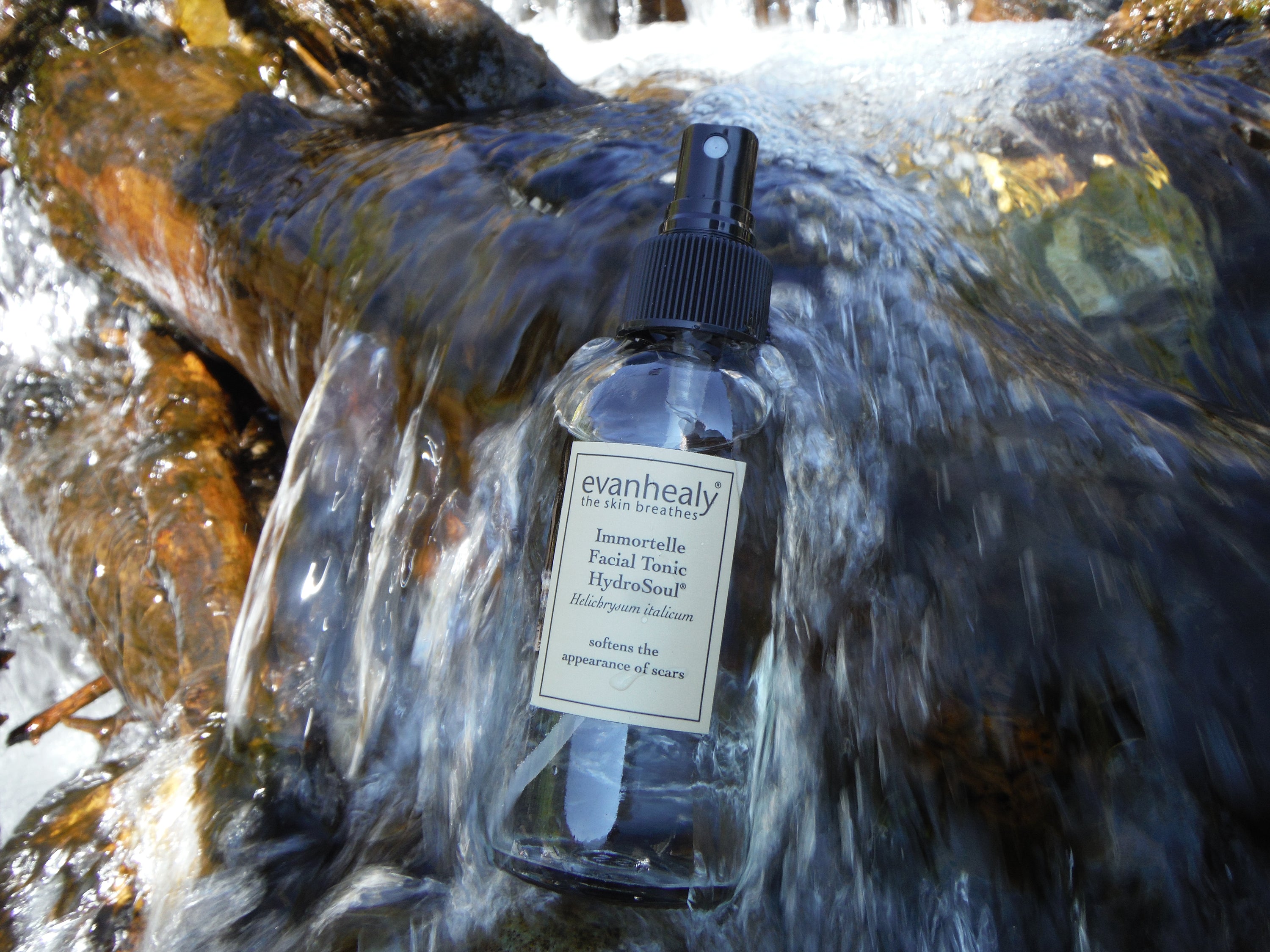 The Healing Elixir: Hydrosols and Their Profound Impact on Skin Health ...