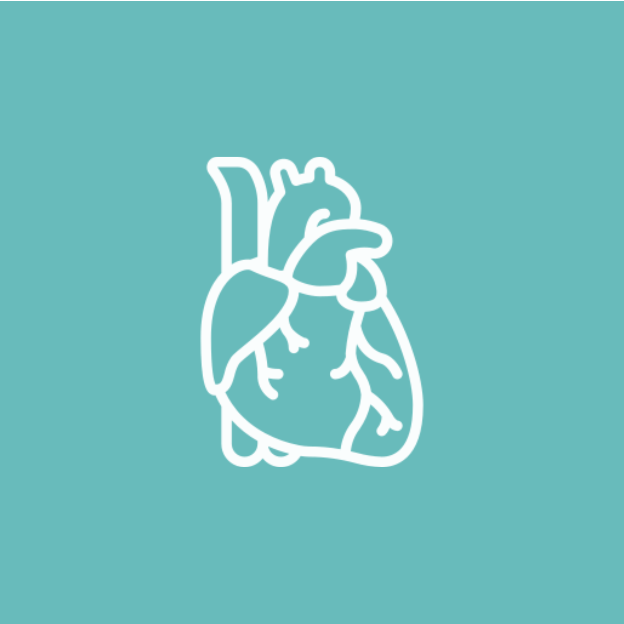 Cardiovascular Support – Nutrition Stop