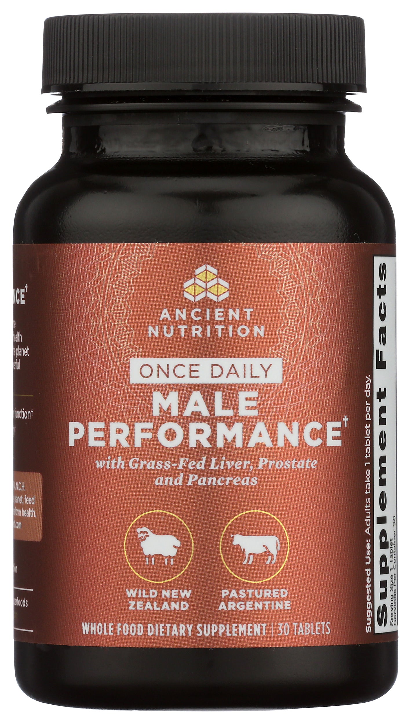 Ancient Nutrition Men's Performance Once Daily Multi-Glandular 30ct ...